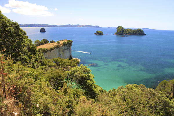 Coromandel: Cathedral Cove e Hot Water Beach